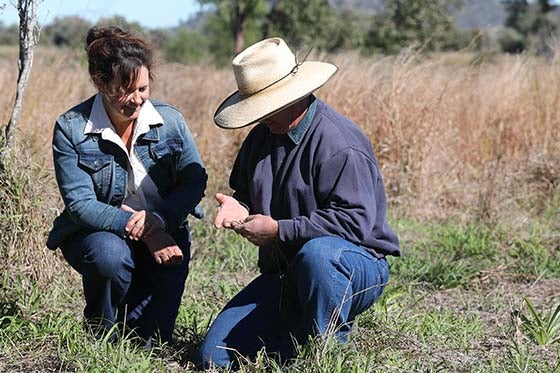 Lawrie family, Gogango