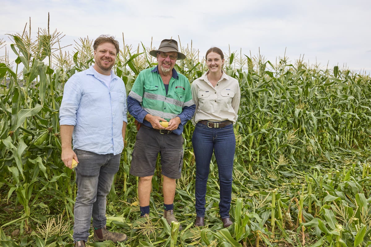 From Gippsland to the world, Ingram family showcased on Farm to Fork ...