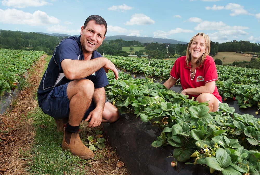 Rural Loans | All in One Account