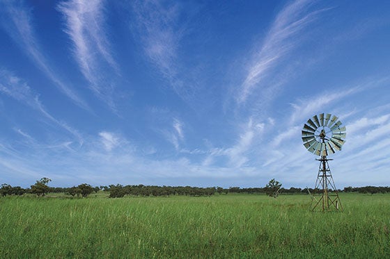 Rabo Client Councils