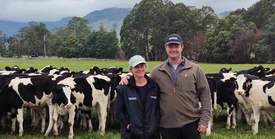 Back to nature on Tasmanian dairy