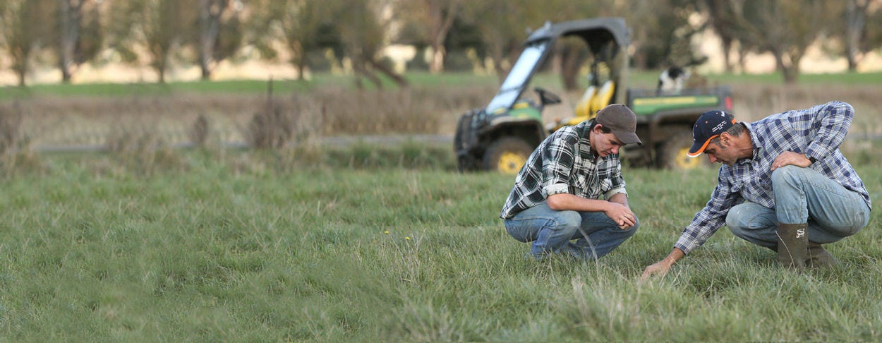 Rabo Client Councils