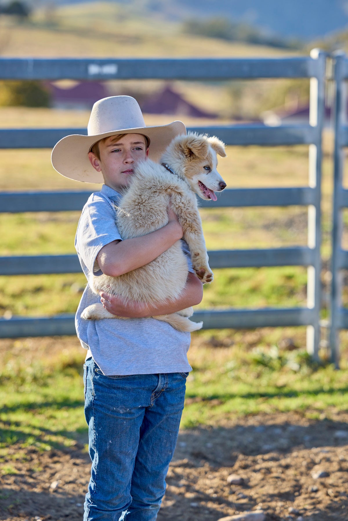 Binnie Beef to feature on Ch10’s Farm to Fork menu