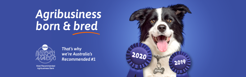 Term Deposit Accounts | Rabobank