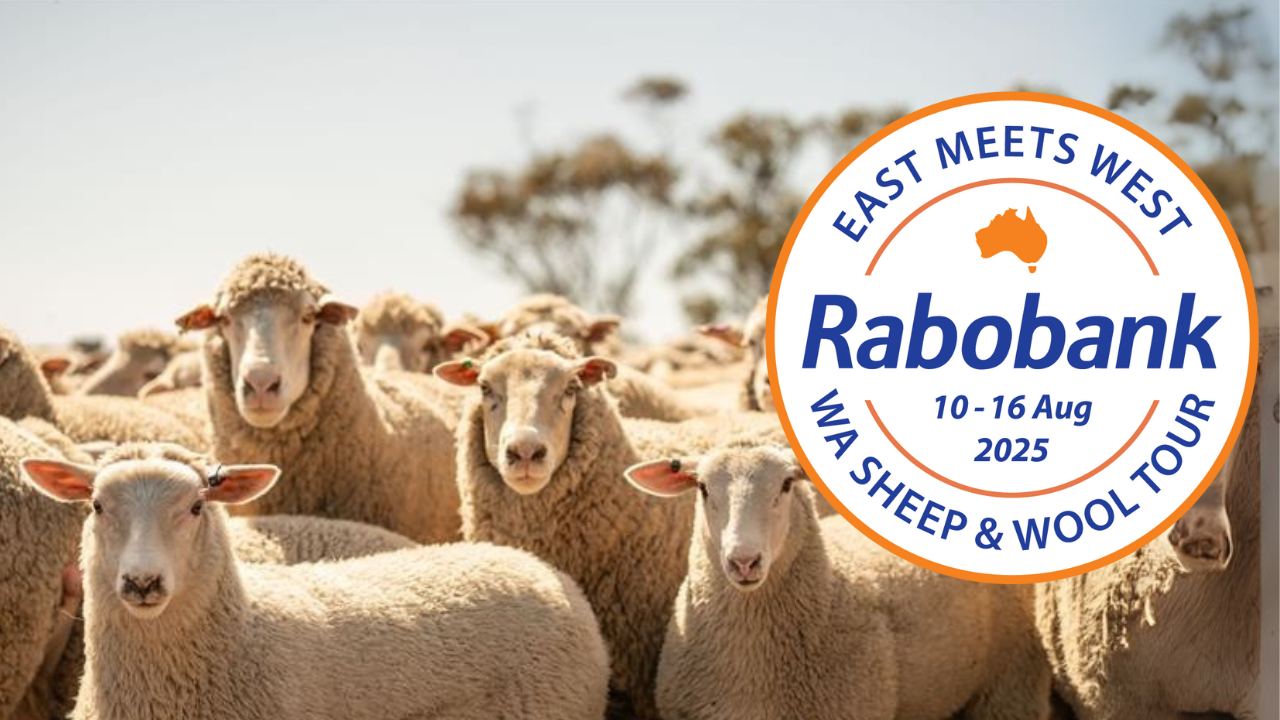 Western Australia Sheep & Wool Tour