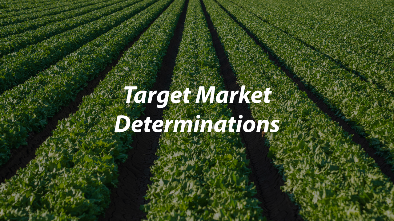 Target Market Determination